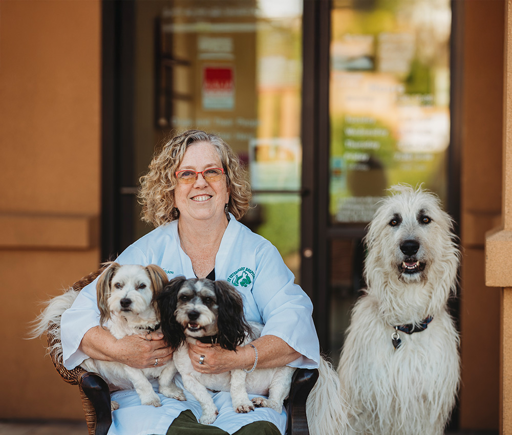 Online Forms | The Veterinary Hospital